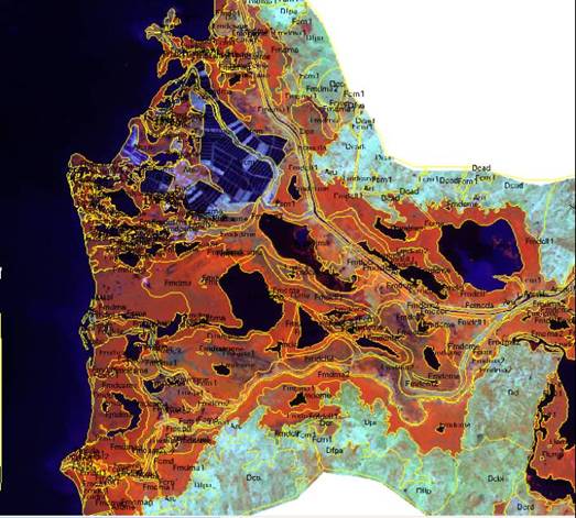 Presentación de PowerPoint