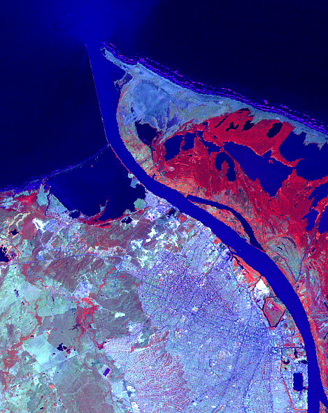 Presentación de PowerPoint